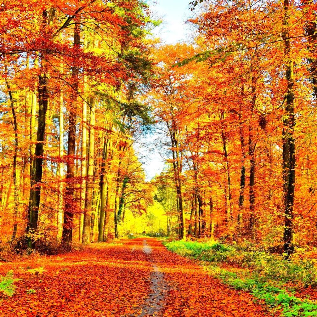 Six Of The Coolest Neighbourhoods In Shanghai - Lingoinn